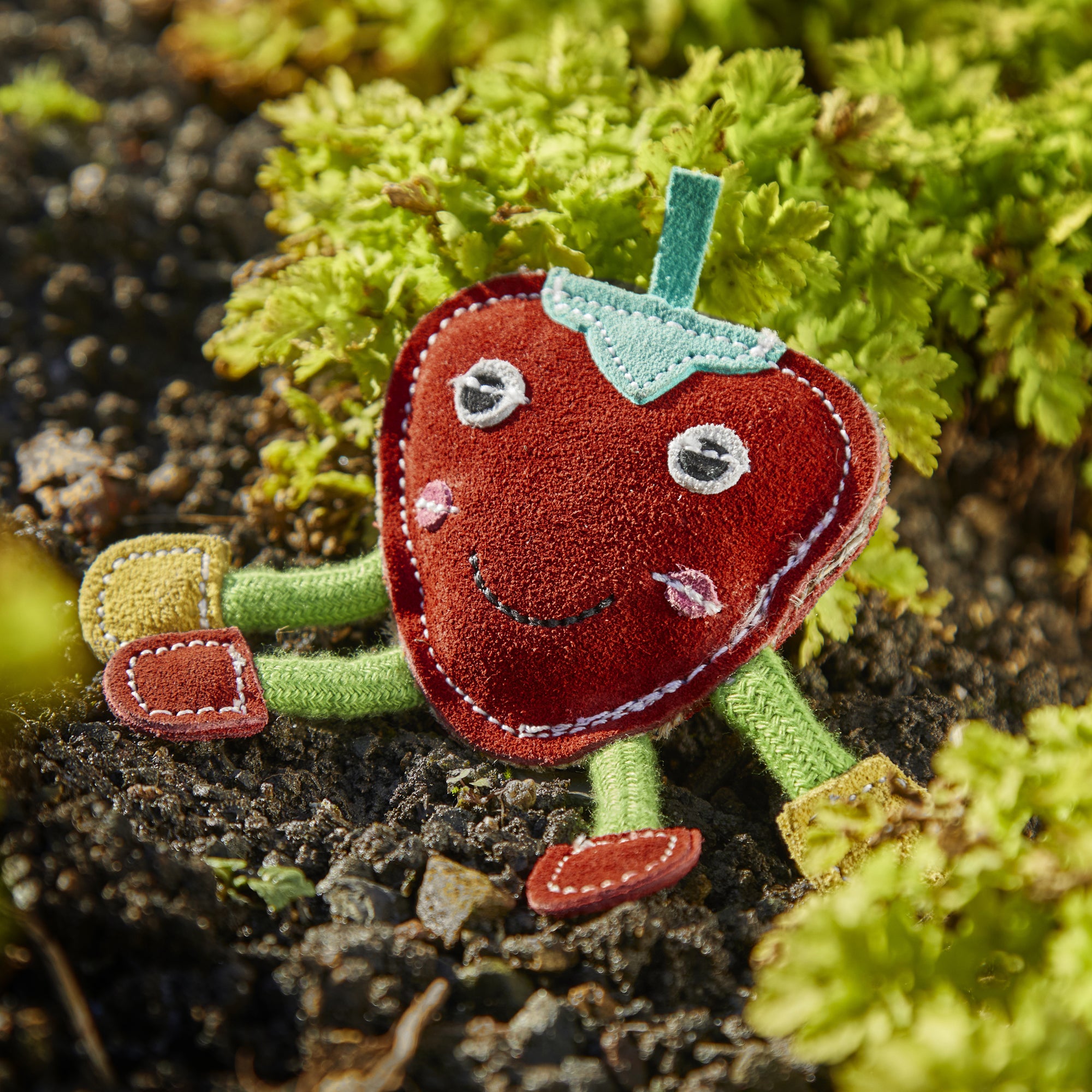 Green & Wild Steve the Strawberry – Distinctive Pets