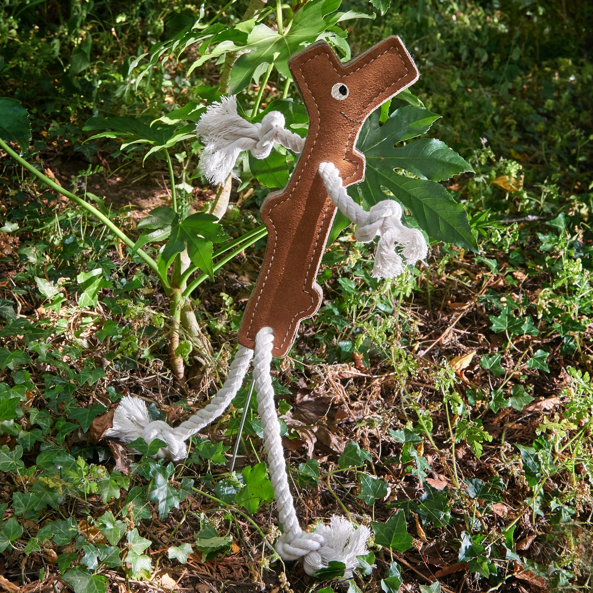 Green & Wild Stick Man – Distinctive Pets